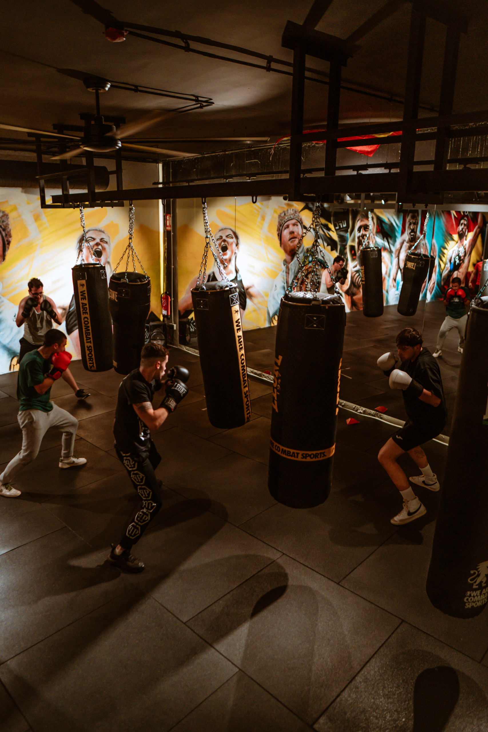 Apolo Fitness & Boxing | Etenon Fitness